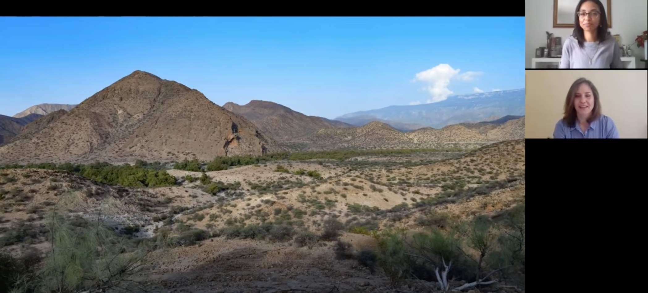 The Untold Story of Frankincense: Straight from the Source (Part 1 ...
